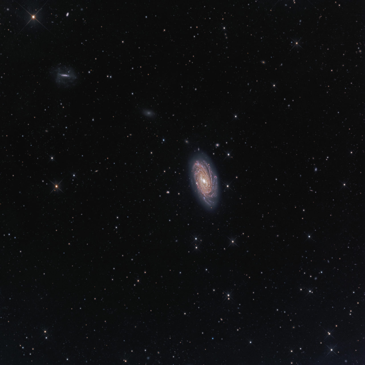 NGC 3953 in Ursa Major Astrophotography Martin Rusterholz